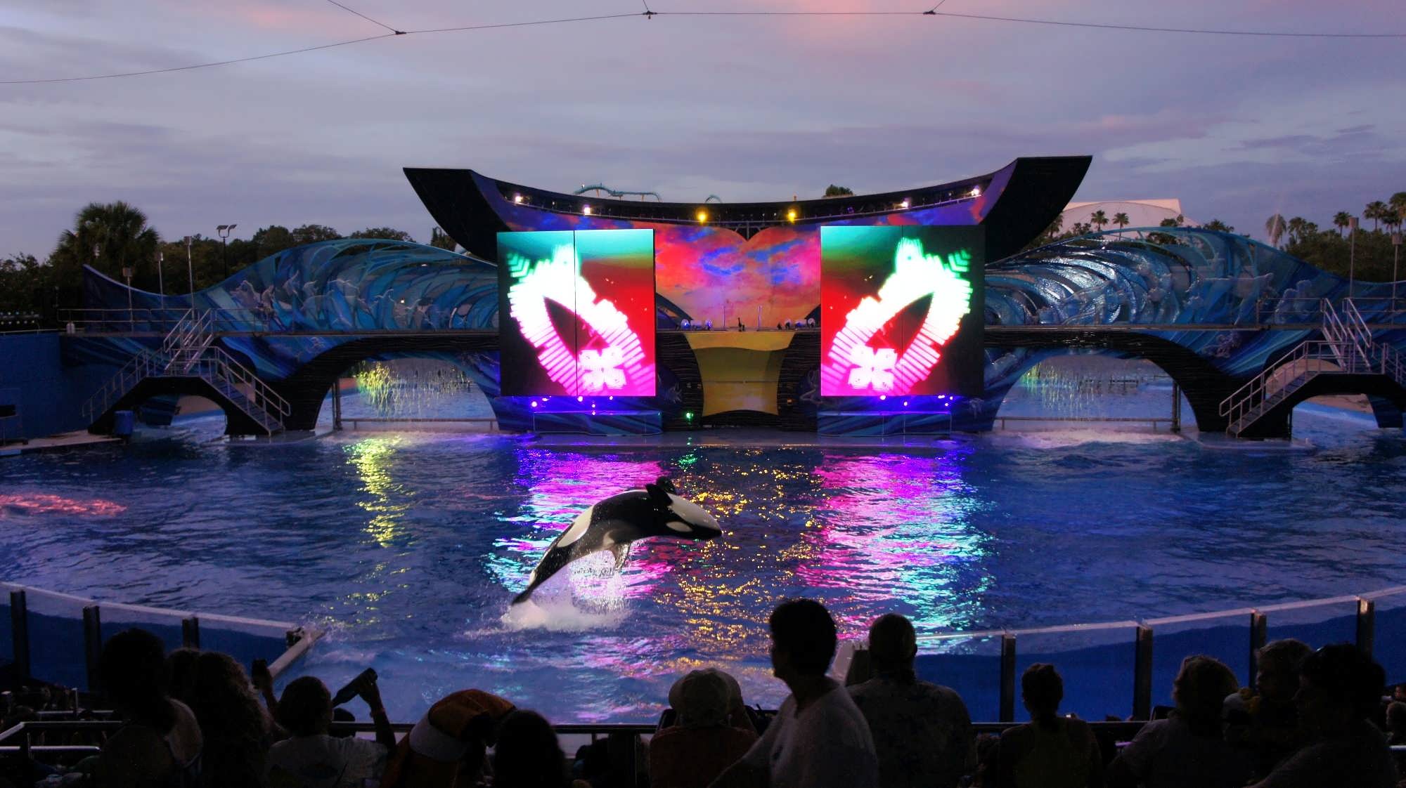 SeaWorld’s Busy Year – a 2011 Timeline | Gini's Nature News