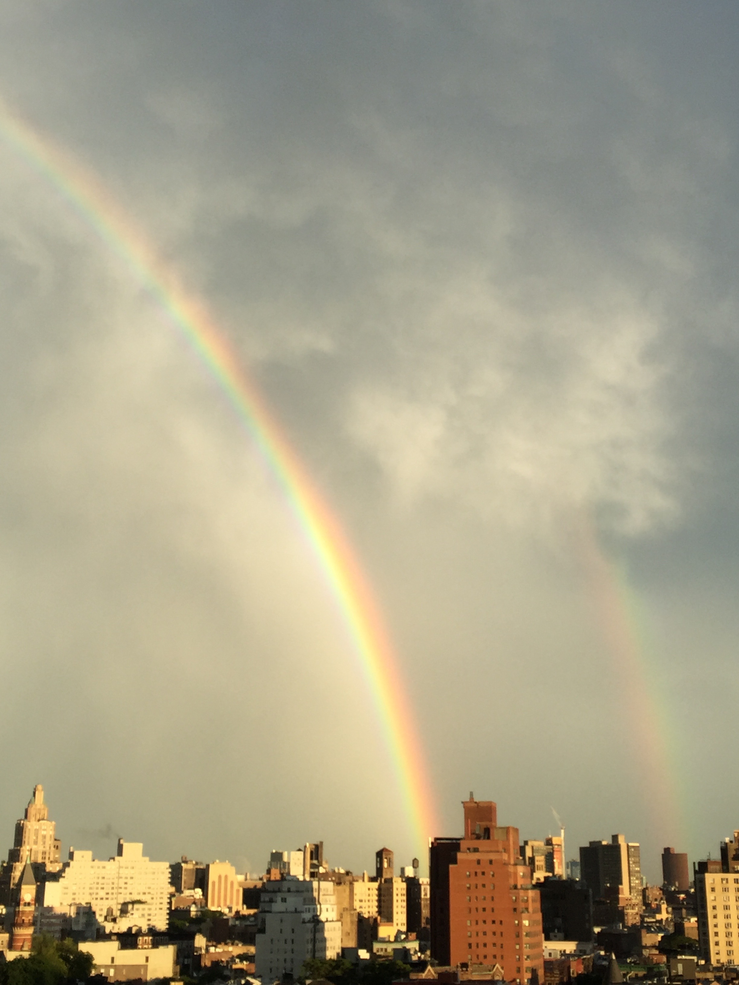 Nature NYC 2017 | Gini's Nature News